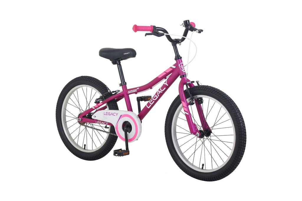 Kid's 20-inch Single Speed Bike with Hand Brakes – Velotique