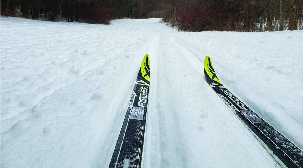 Velotique Bicycle Sales & Service, XC Skis - 1592 Queen St E. Toronto